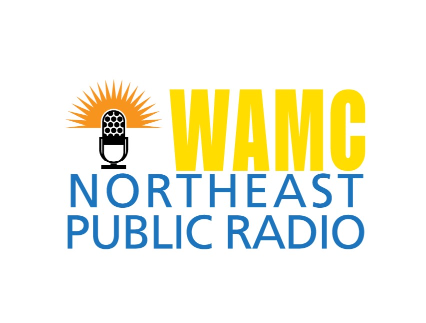 Karen Brooks Hopkins Discusses BAM...And Then It Hit Me for WAMC NPR ...