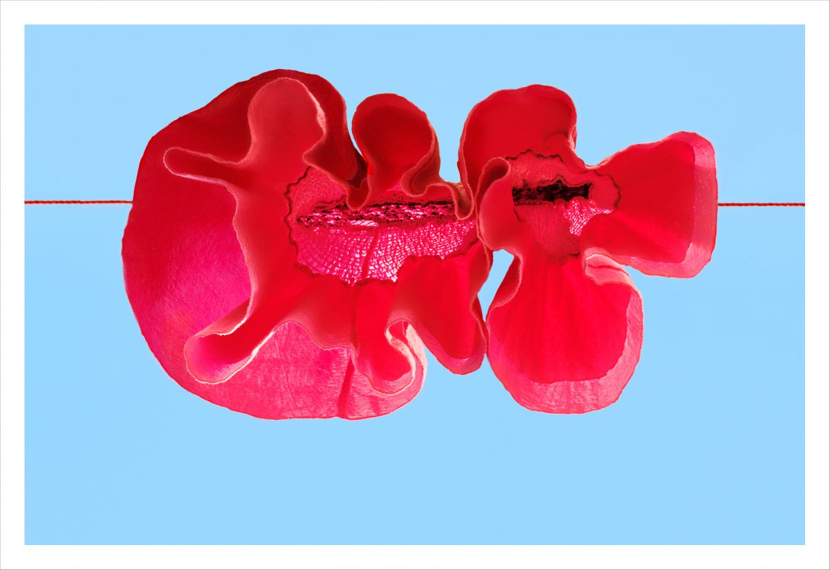 Heavenly Creatures - powerHouse Books