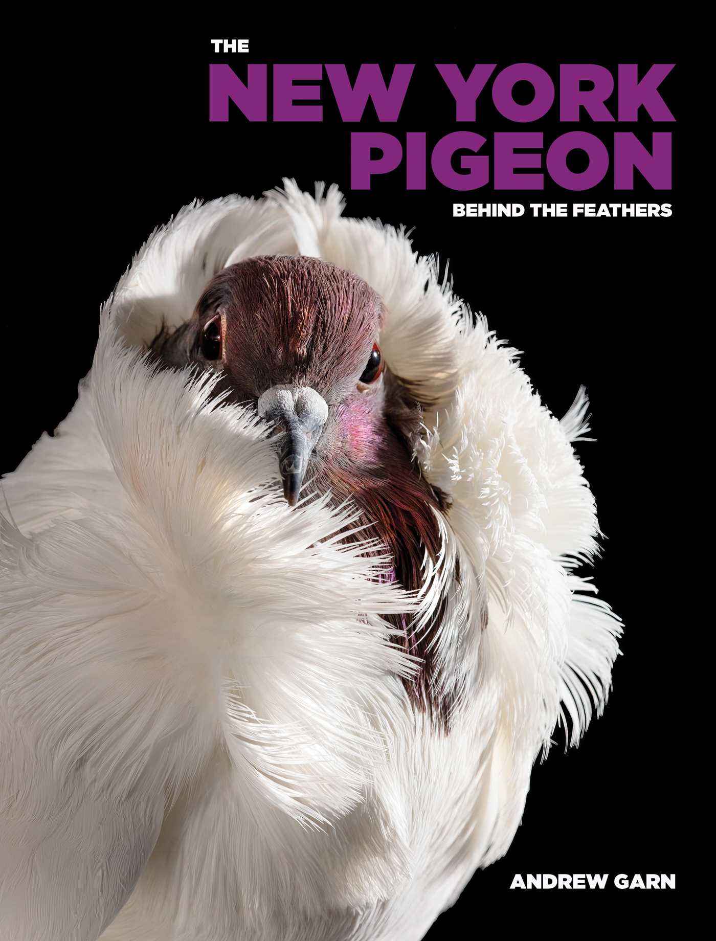 The New York Pigeon in Publishers Weekly - powerHouse Books